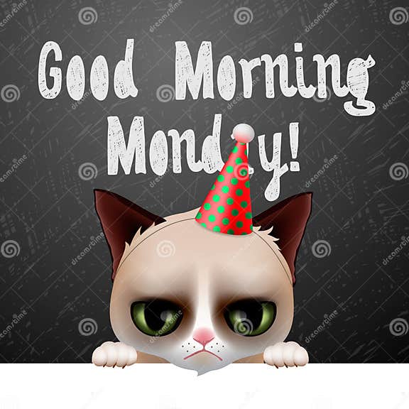 Good Morning Monday, with Cute Grumpy Cat Stock Vector - Illustration ...