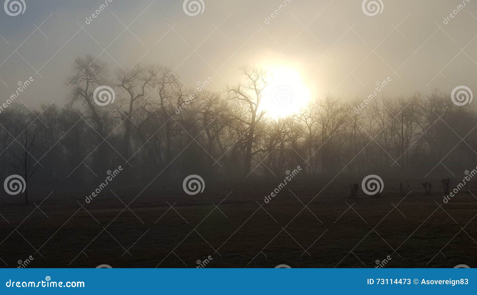 Good morning Nebraska stock image. Image of morning, trees - 73114473