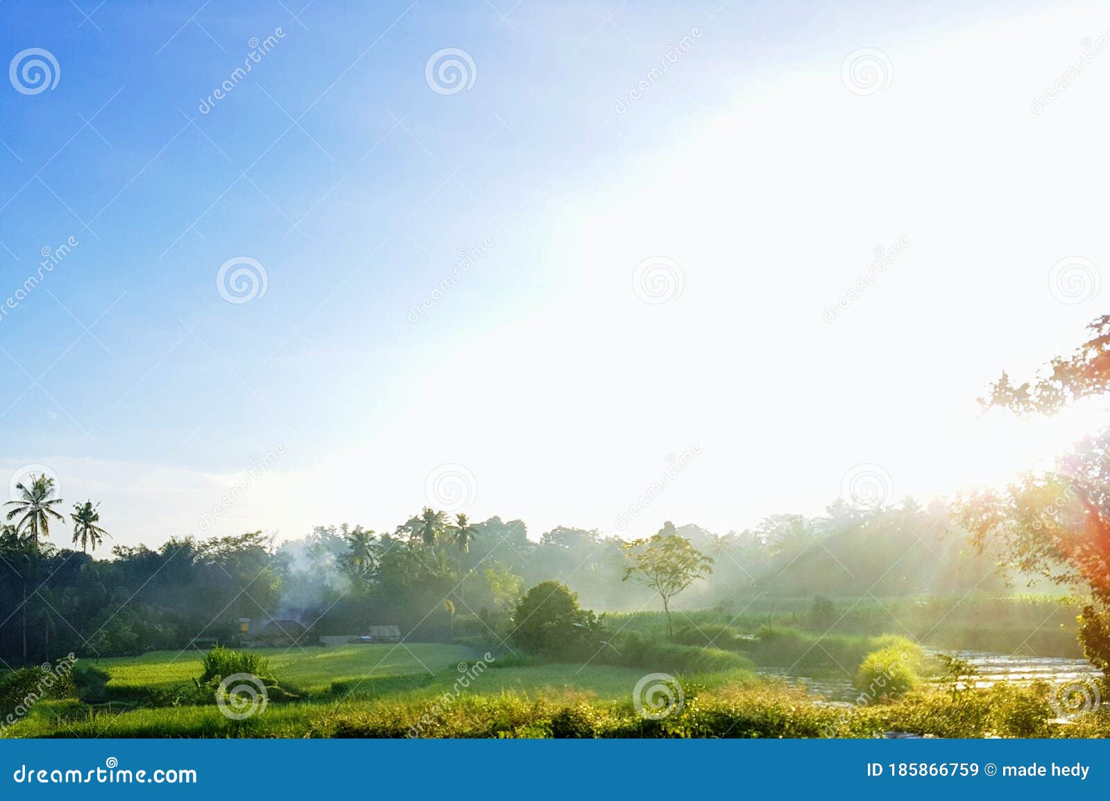 Good Morning Rice Field Semana Bali 2 Stock Image - Image of morning ...