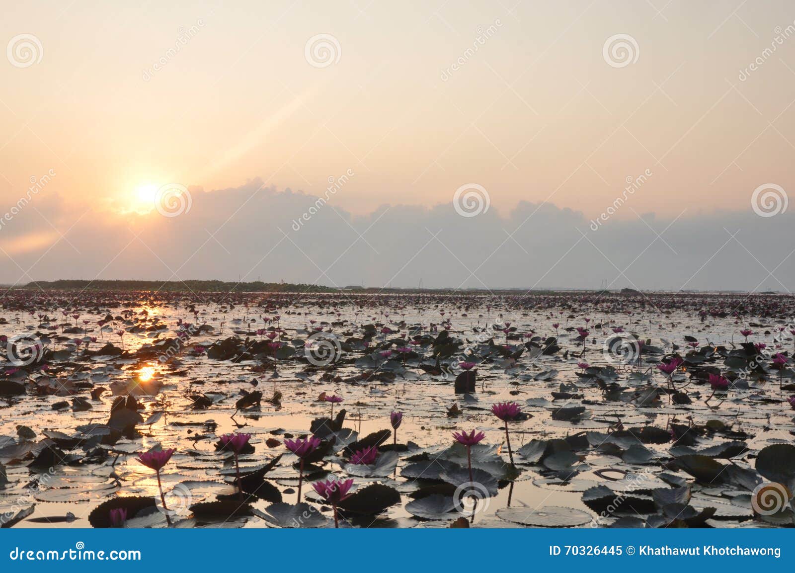 Good morning stock image. Image of morning, goodmorning - 70326445