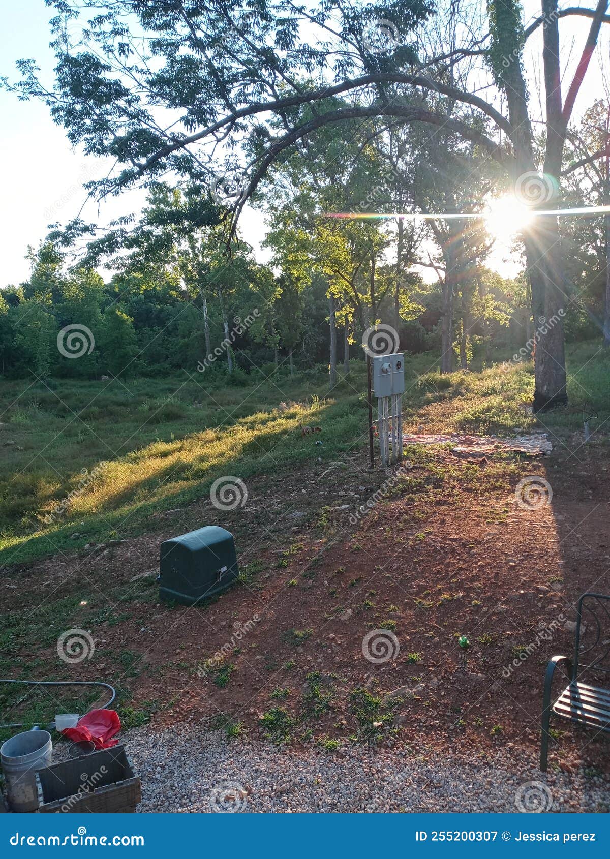 Good Morning Sunny Day Outside Stock Image - Image of nature, green ...