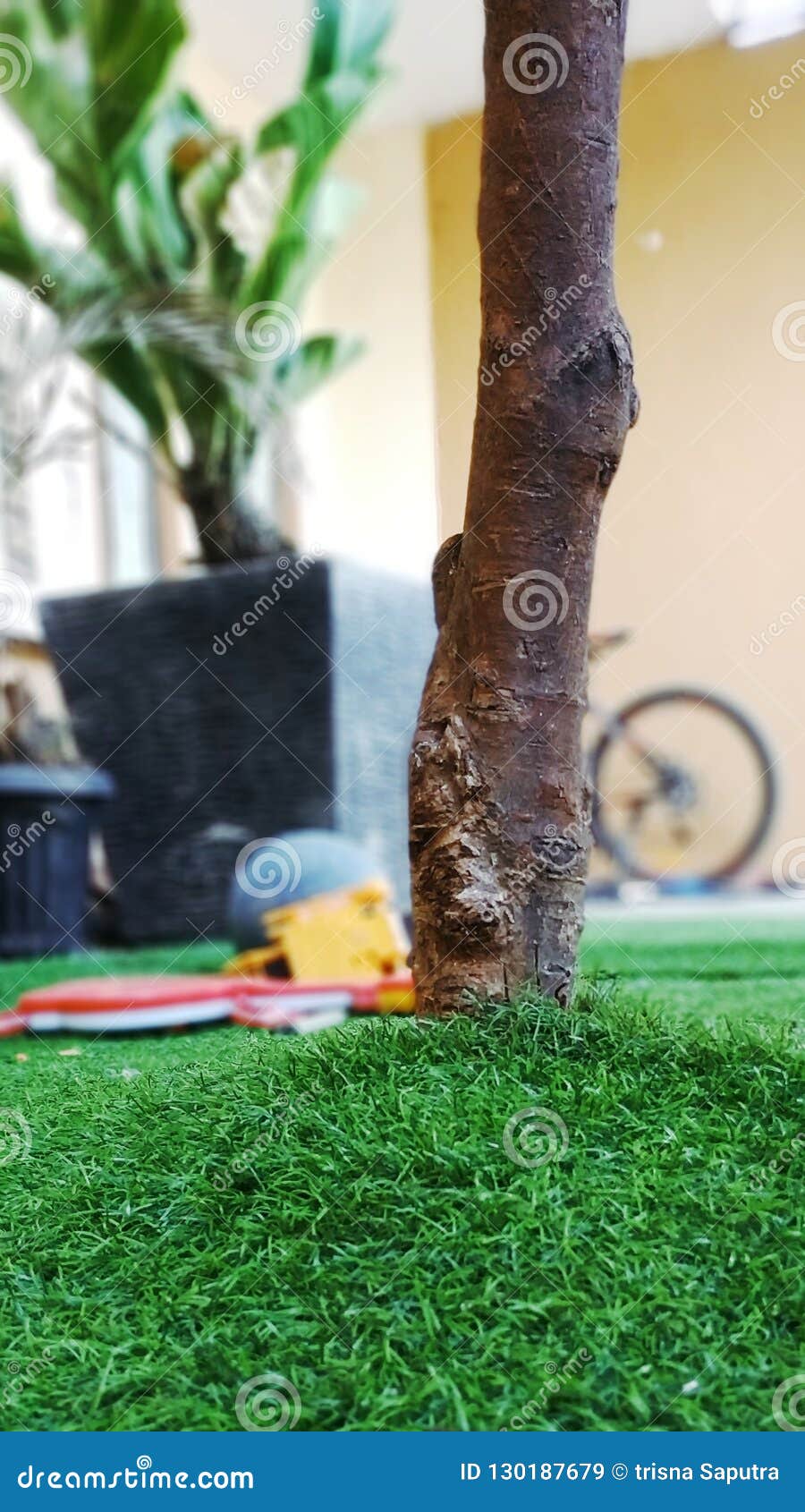 Good morning stock image. Image of morning, tree, perfect - 130187679