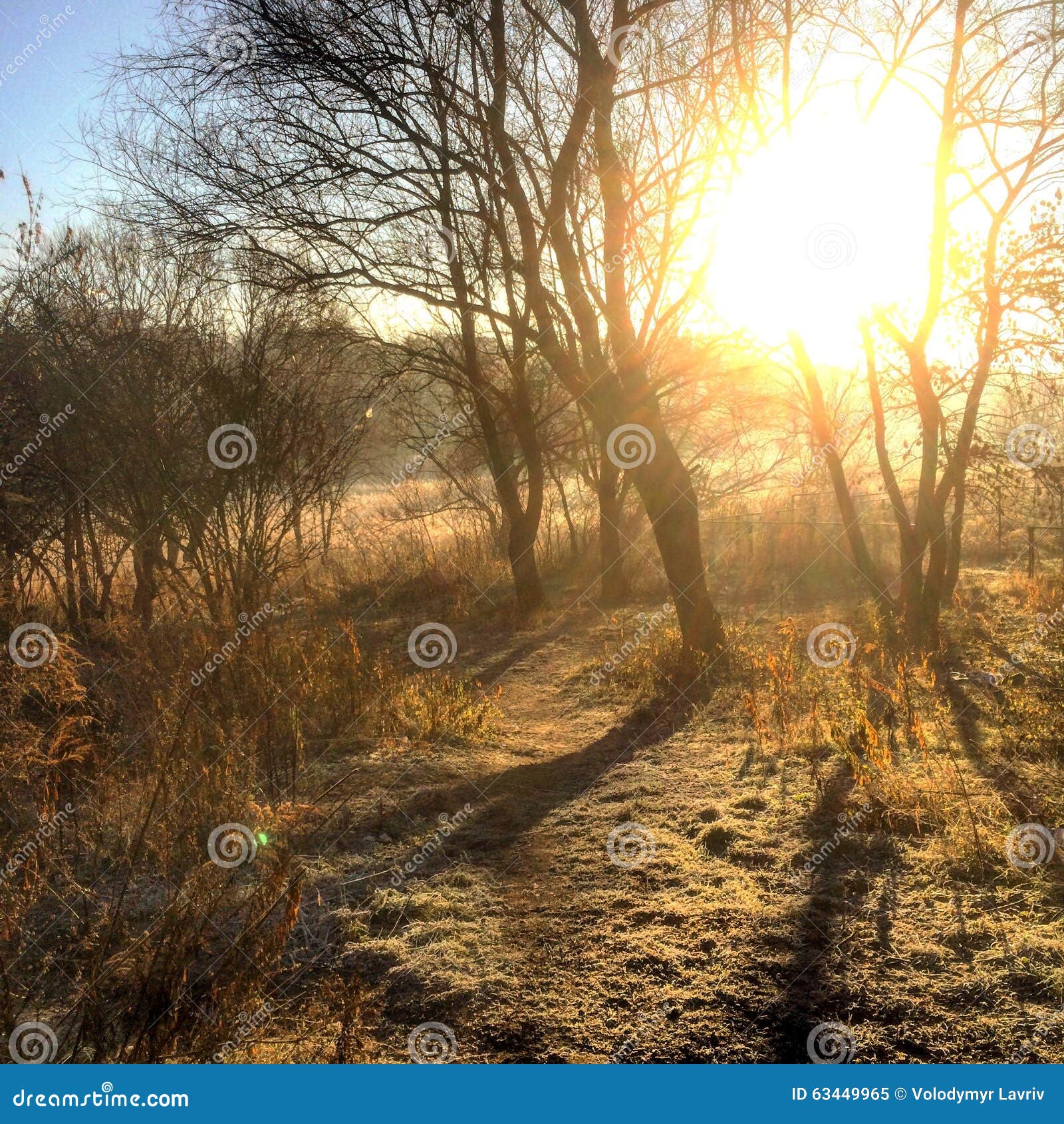 Good morning Ukraine stock image. Image of wild, good - 63449965