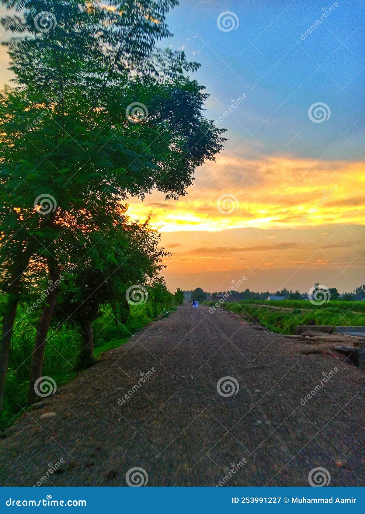 Good morning view stock image. Image of sunsets, trees - 253991227