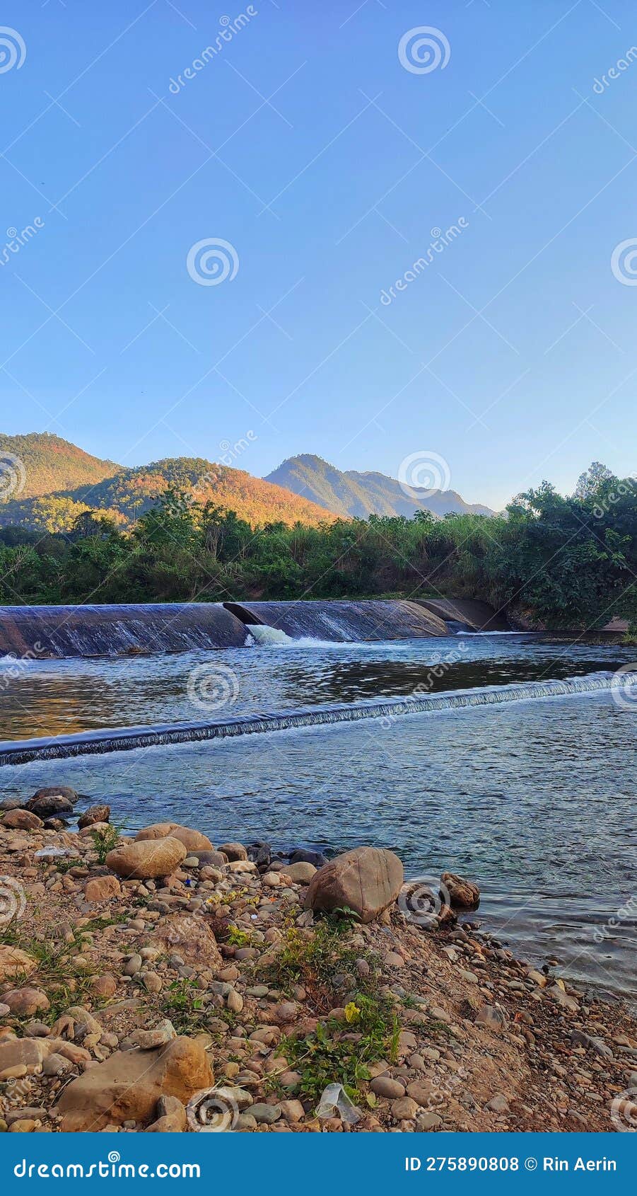 A Small Dam Located in Thailand.is a Rural Dam Stock Photo - Image of ...