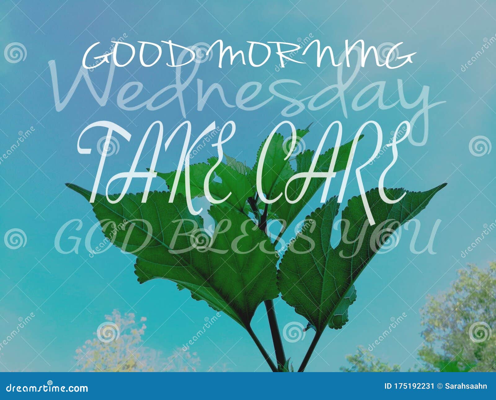 Good Morning Wednesday, Take Care. Stock Image - Image of greeting ...