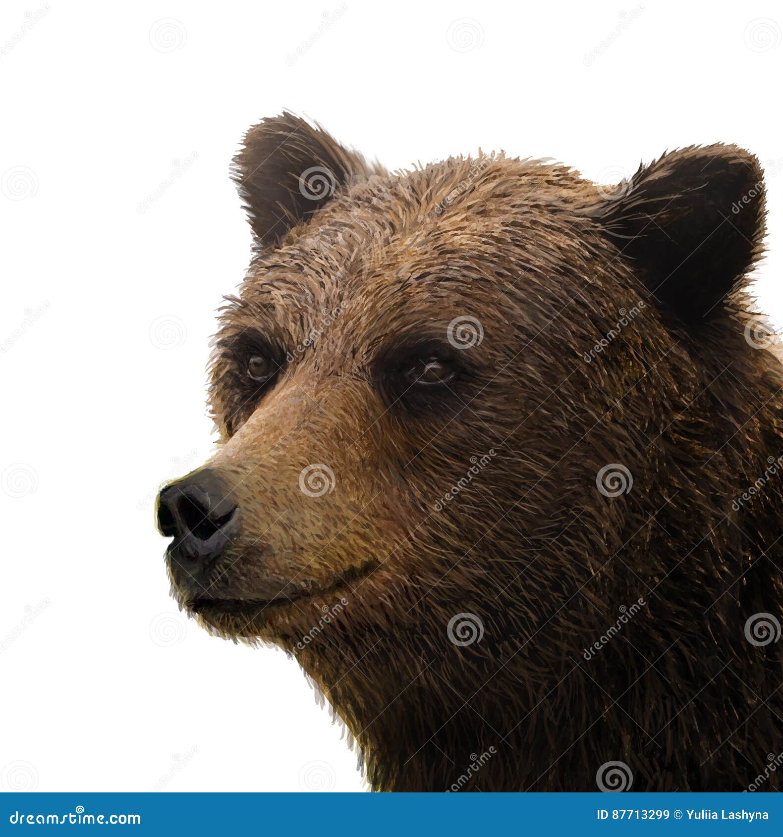 The Good-natured Grizzly Bear Stock Image | CartoonDealer.com #87713299