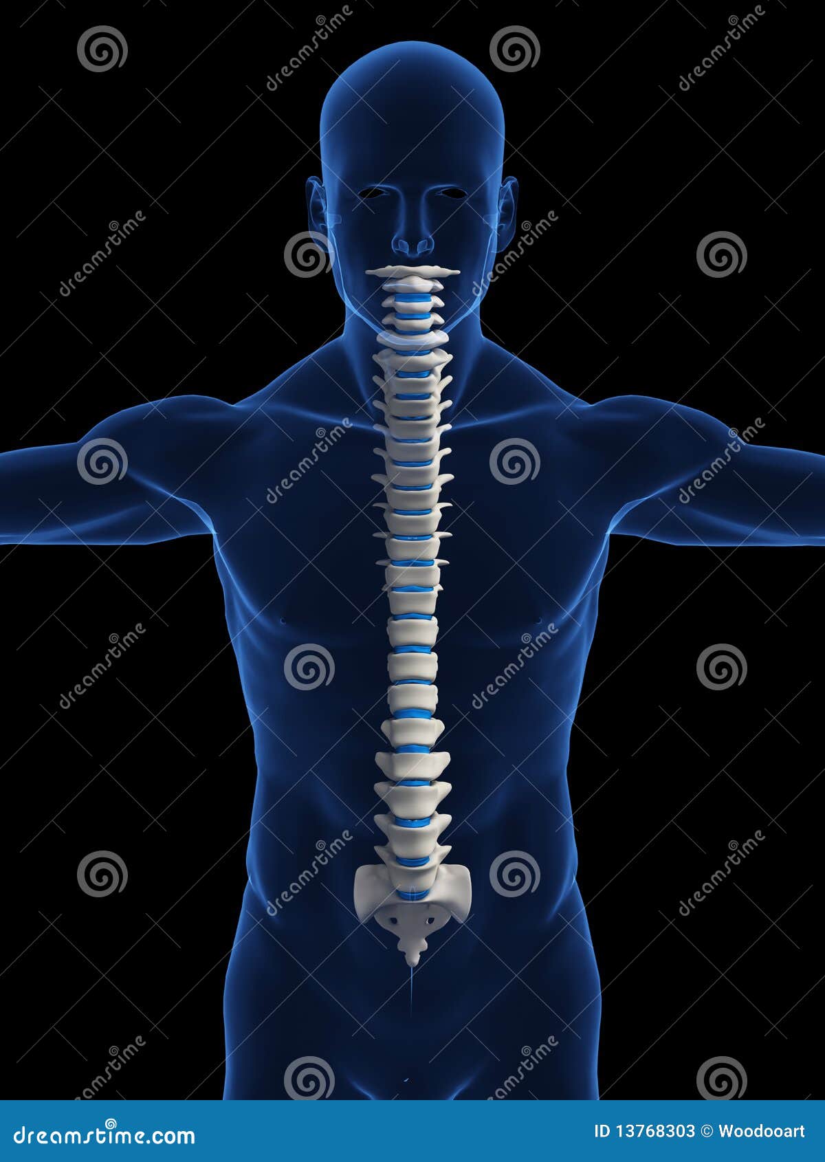 Good posture concept stock image. Image of fingers, bone - 13768303