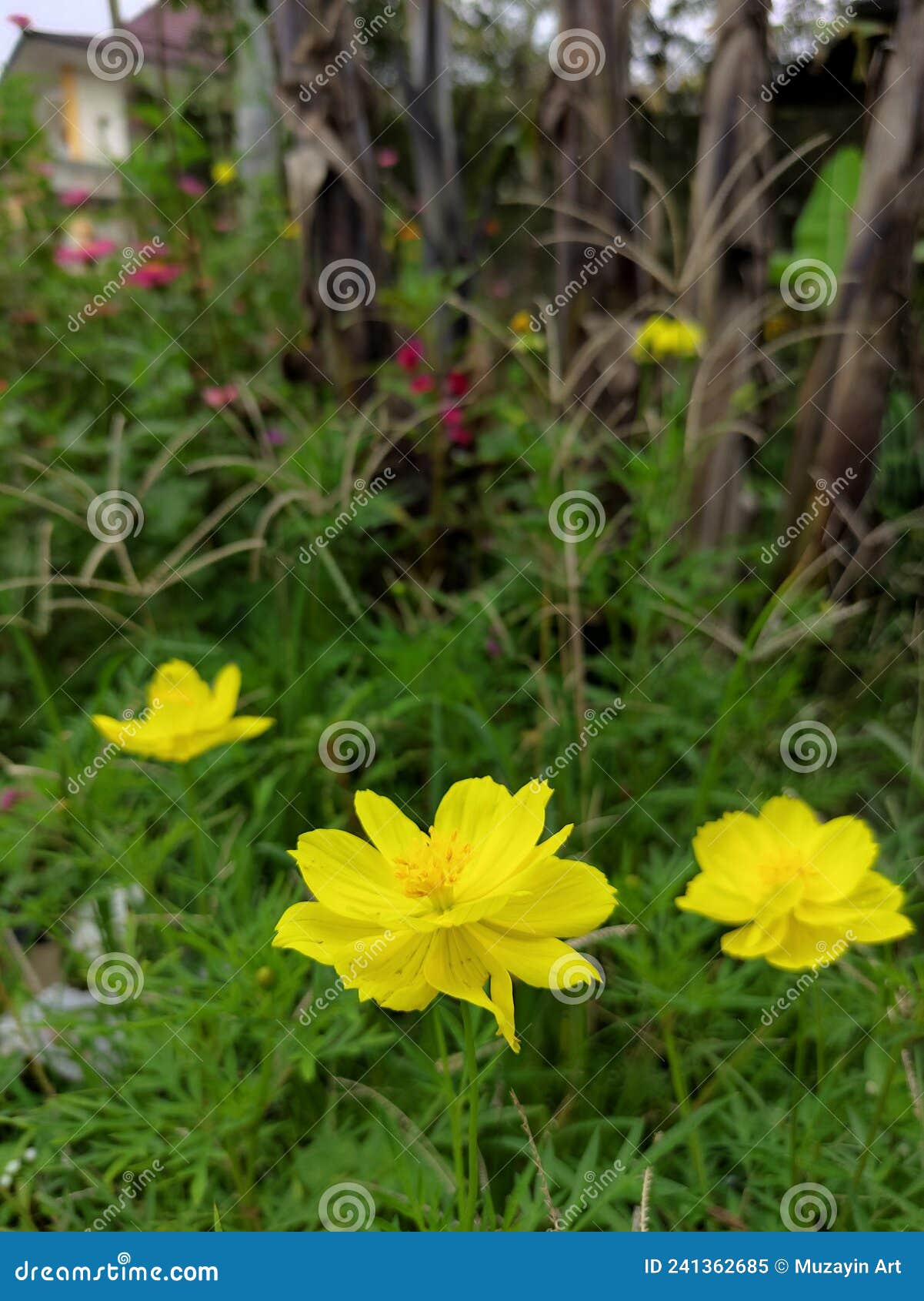The Potrait View Of Al-azhar Mosque At Middle Night With Stunning Warm ...