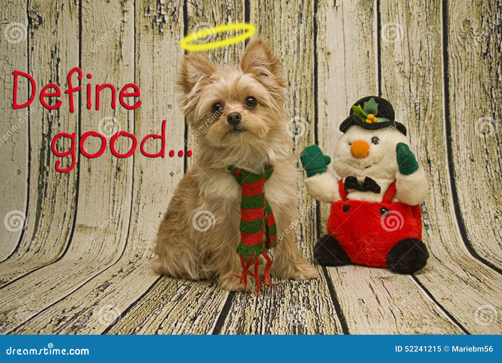 Good Puppy stock image. Image of furry, adorable, friend - 52241215