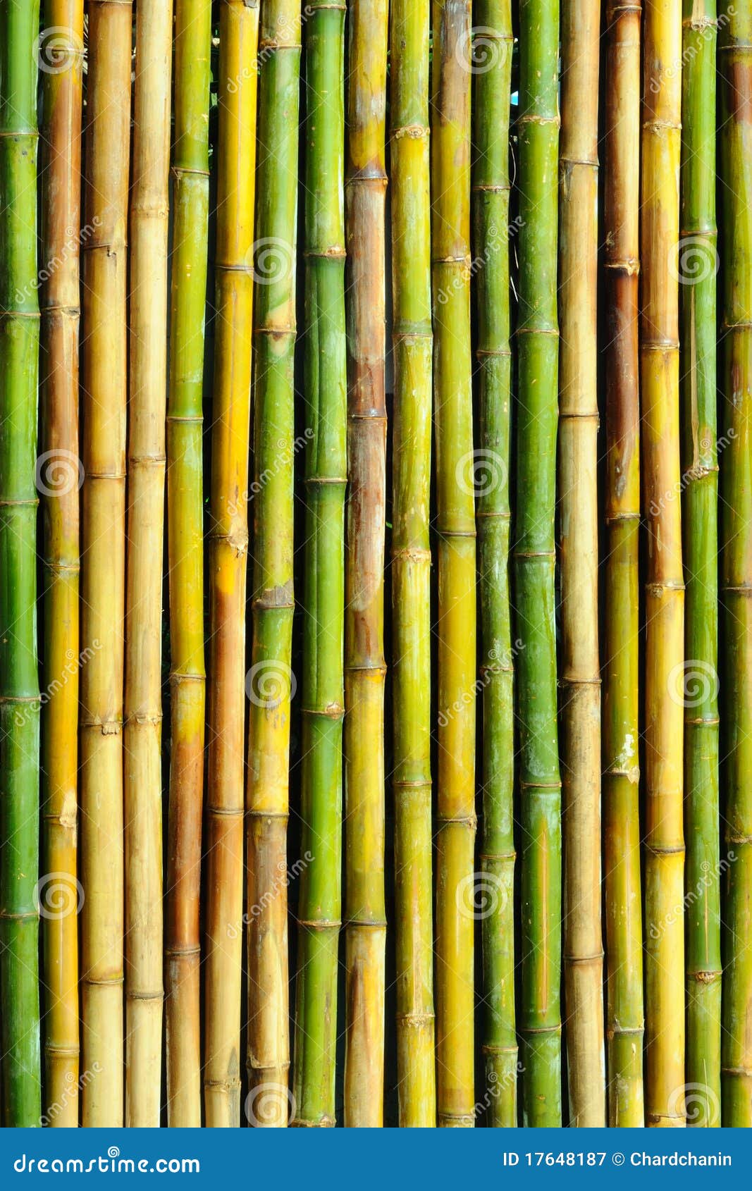 Natural Bamboo Texture Royalty-Free Stock Photography | CartoonDealer ...