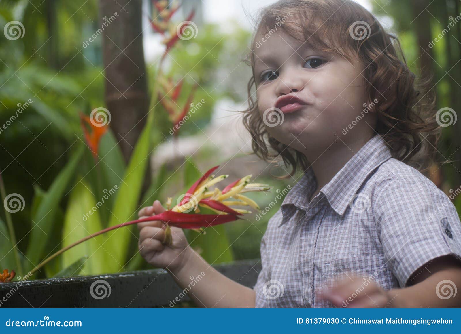 Good smell stock photo. Image of sawaddee, relax, happy - 81379030