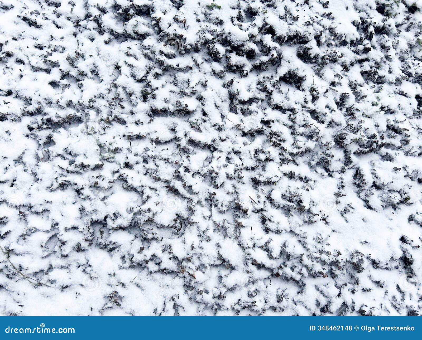 A Good Snow Texture. Good for Any Project. Stock Photo - Image of ...