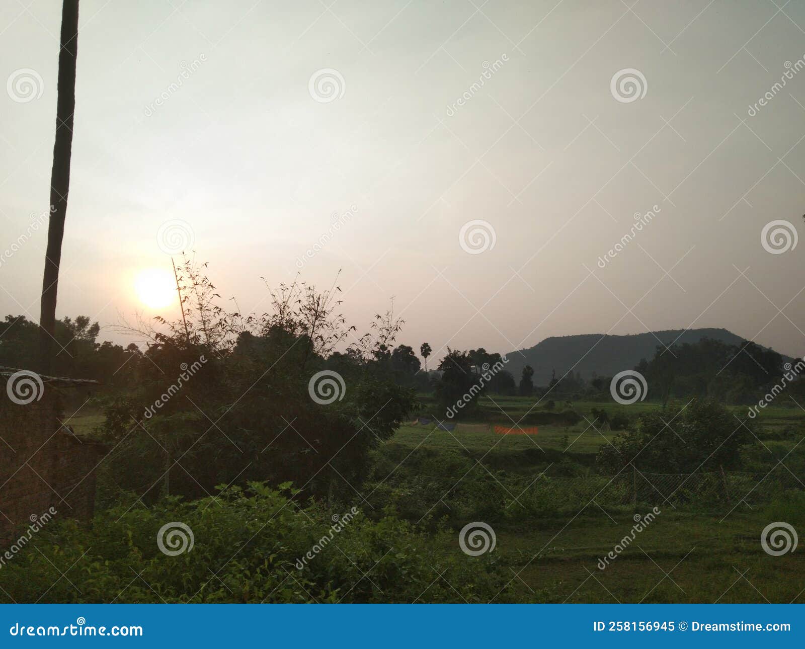 A good Sunset stock image. Image of varanasi, chakia - 258156945