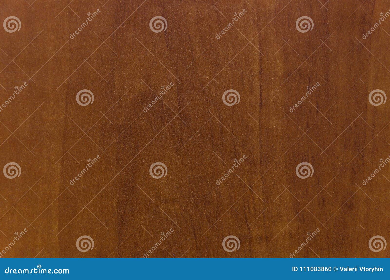 Good Texture Under the Tree. Stock Photo - Image of material, lumber ...