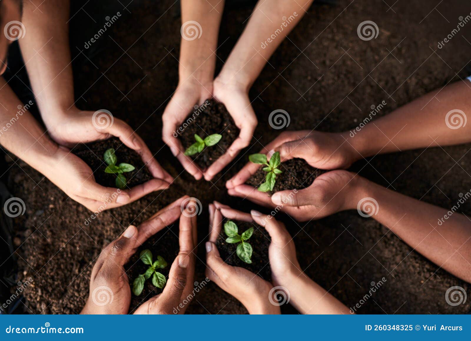 Good Things Take Time. a Group of Unrecognizable People Holding Plants ...