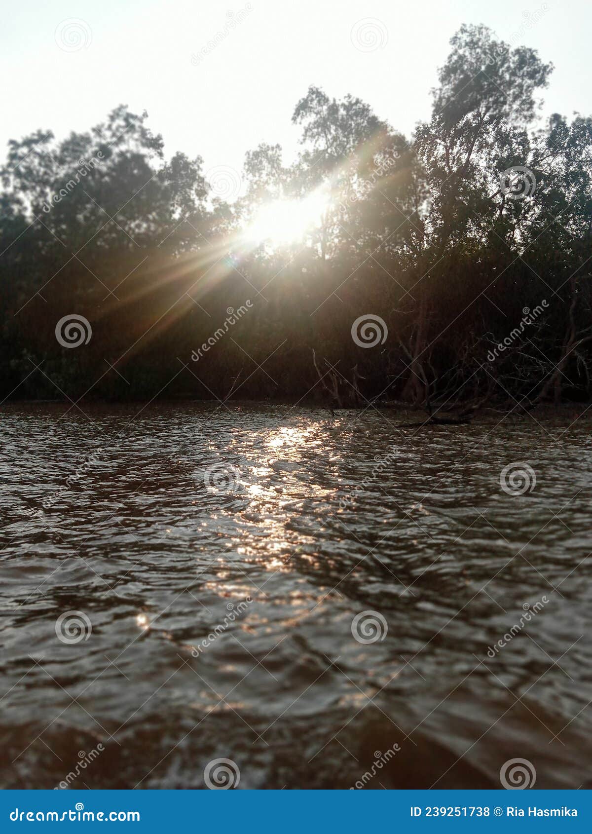 Good Vibes Sunset stock photo. Image of dawn, good, sunlight - 239251738