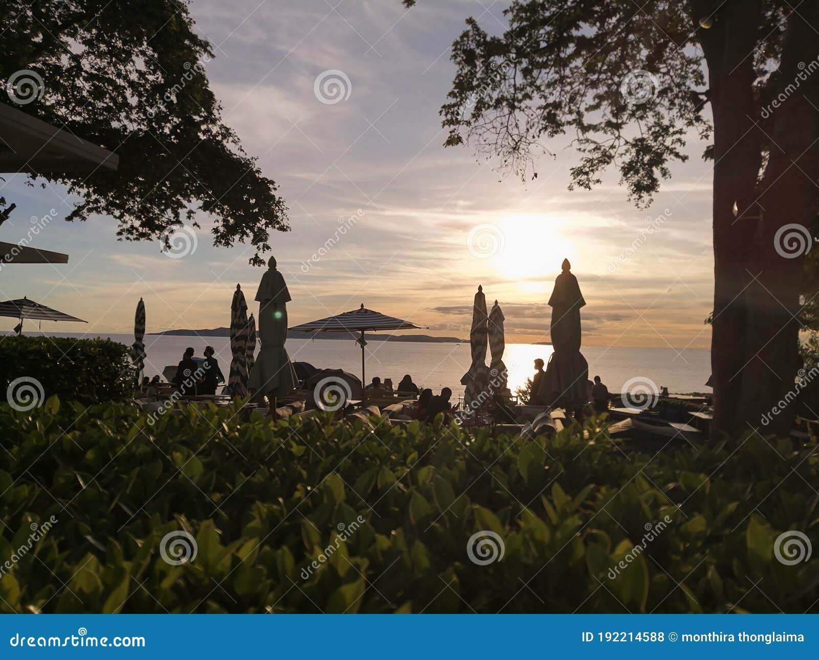Good view in the evening stock photo. Image of evening - 192214588