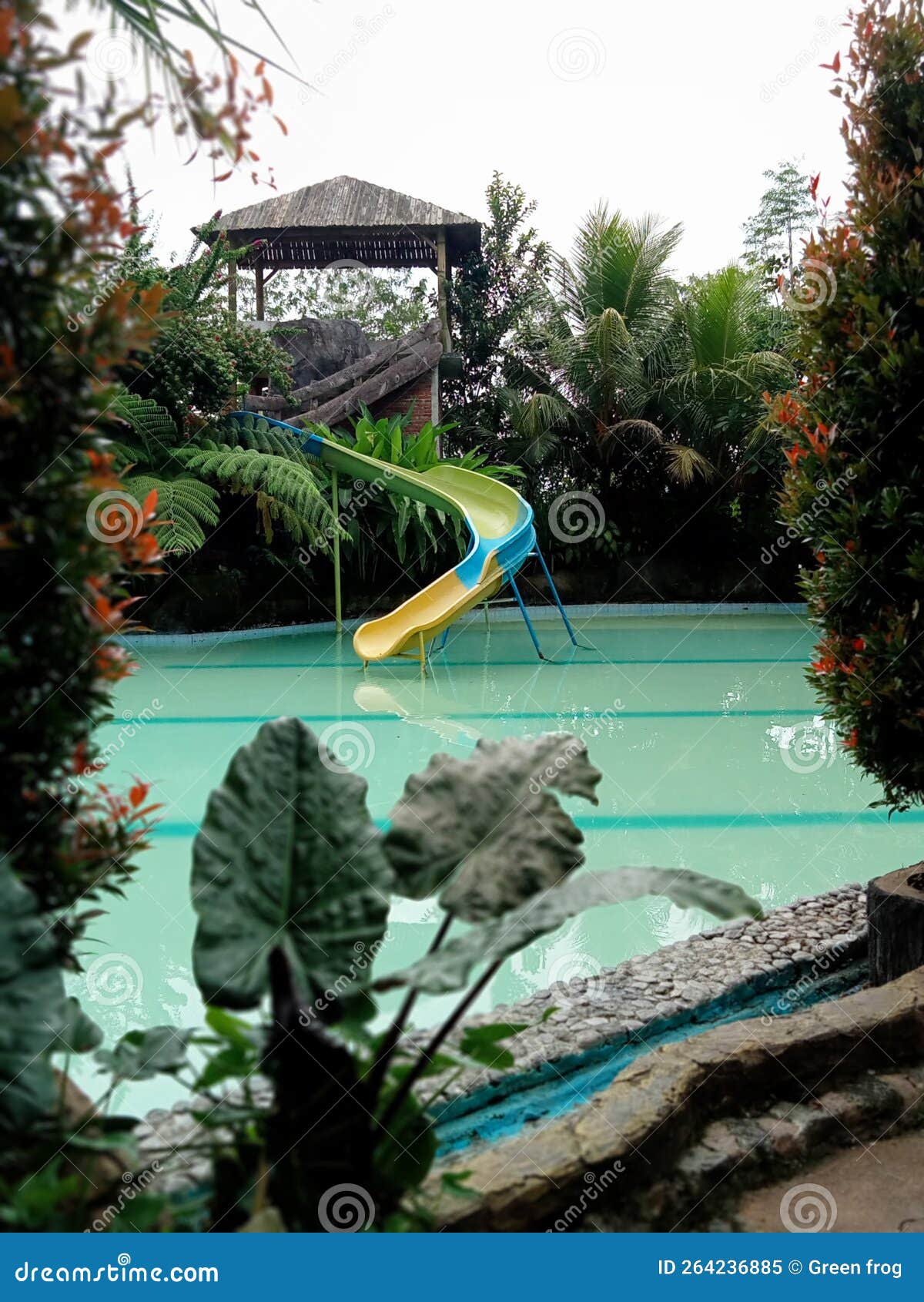 Good View from Swimming Pool Stock Image - Image of coconut, morning ...