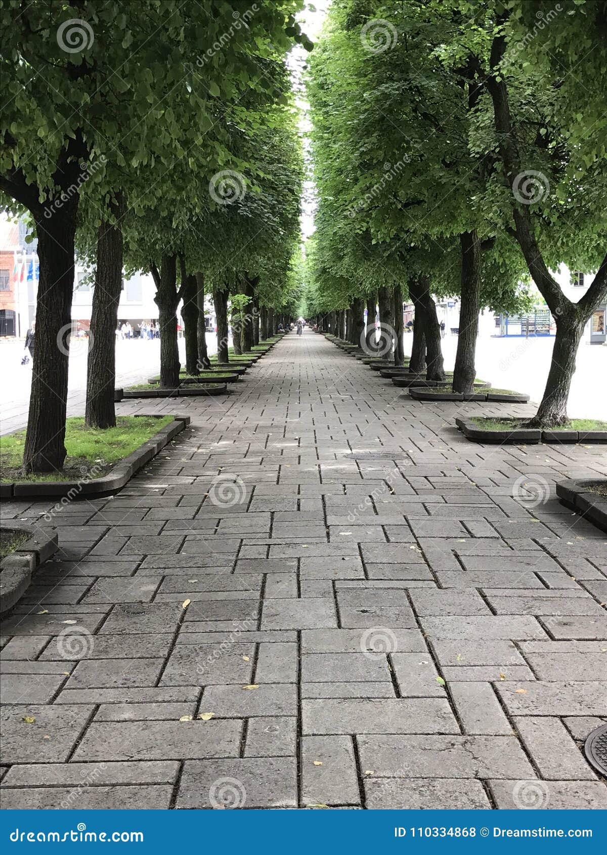 A good walk stock photo. Image of good, lituania, green - 110334868