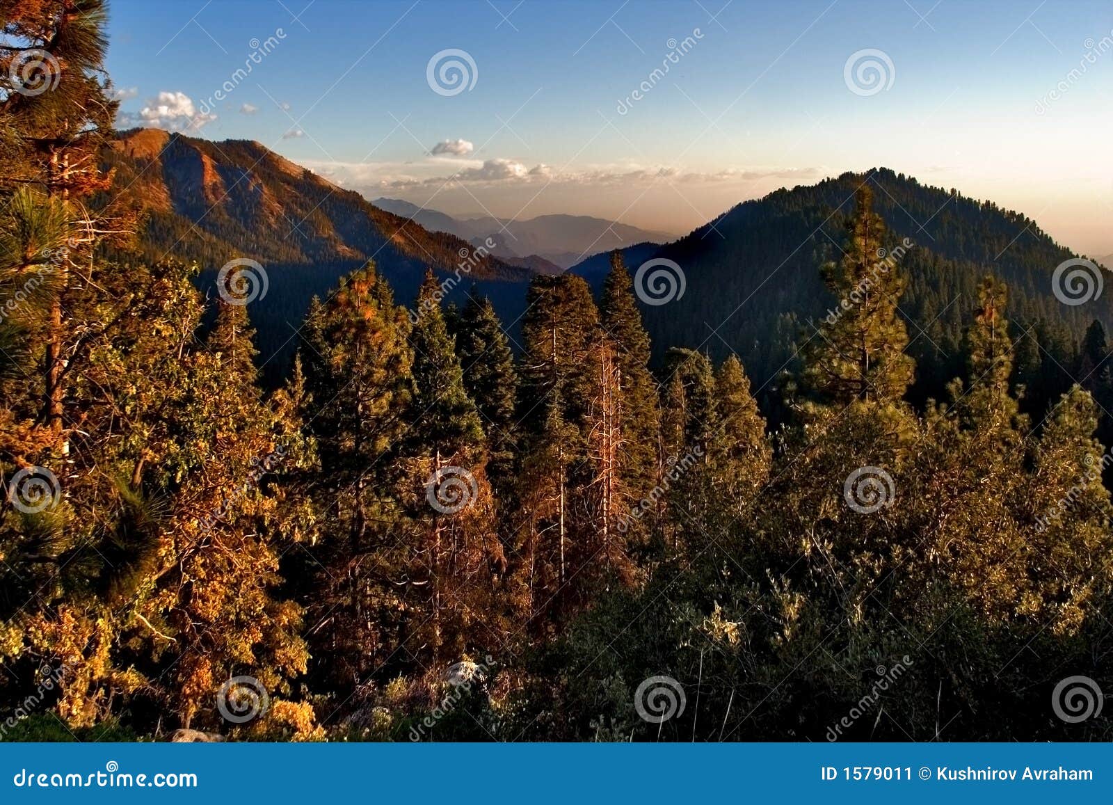 Good weather stock image. Image of grow, background, october - 1579011