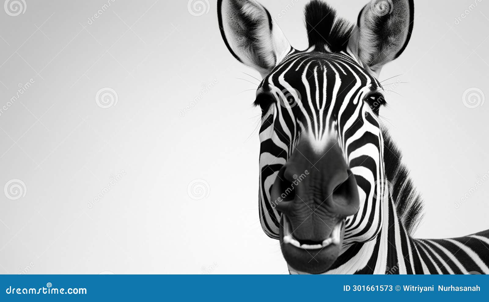 Good Zebra Smiling Black and White Face . Generative Ai Stock ...
