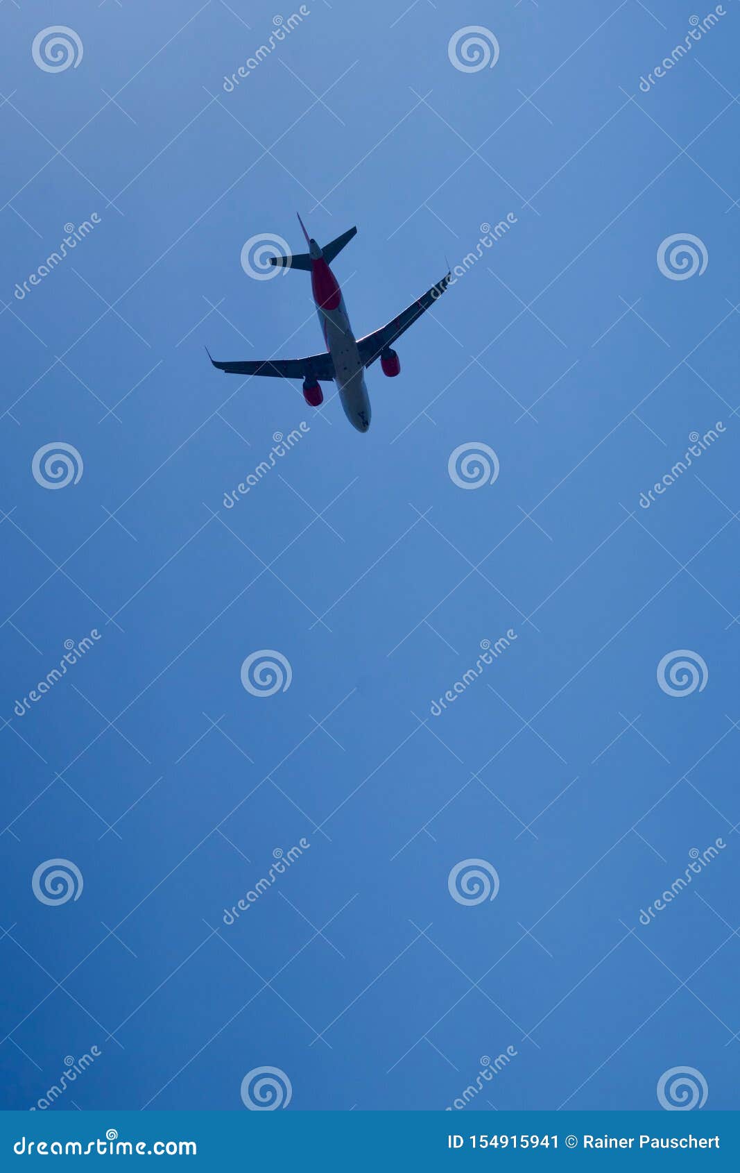 Goodbye! stock image. Image of flight, bird, seagull - 154915941