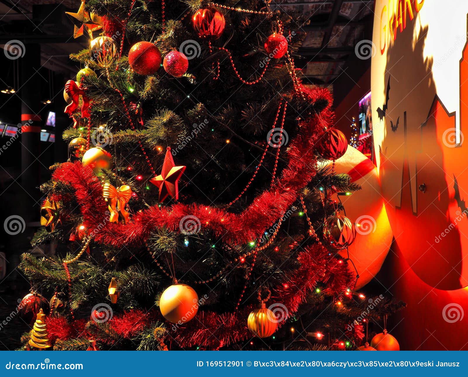 Goodbye Christmas tree. stock image. Image of city, decoration - 169512901