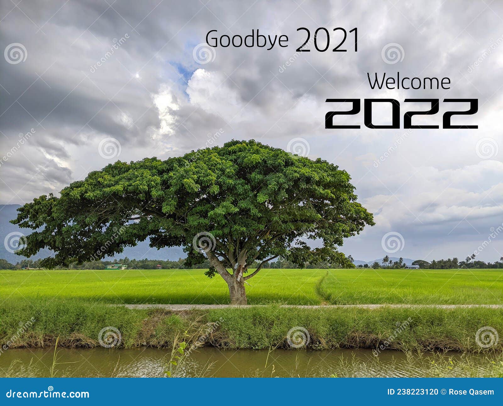 Goodbye 2021 Welcome 2022 with Tree Background Stock Photo - Image of ...