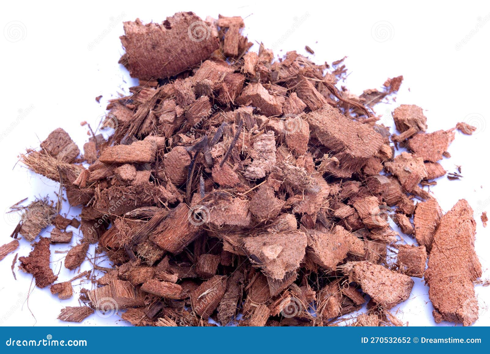 Dried Coconut Shells, Chopped into Small Pieces for Compost Mixture on ...