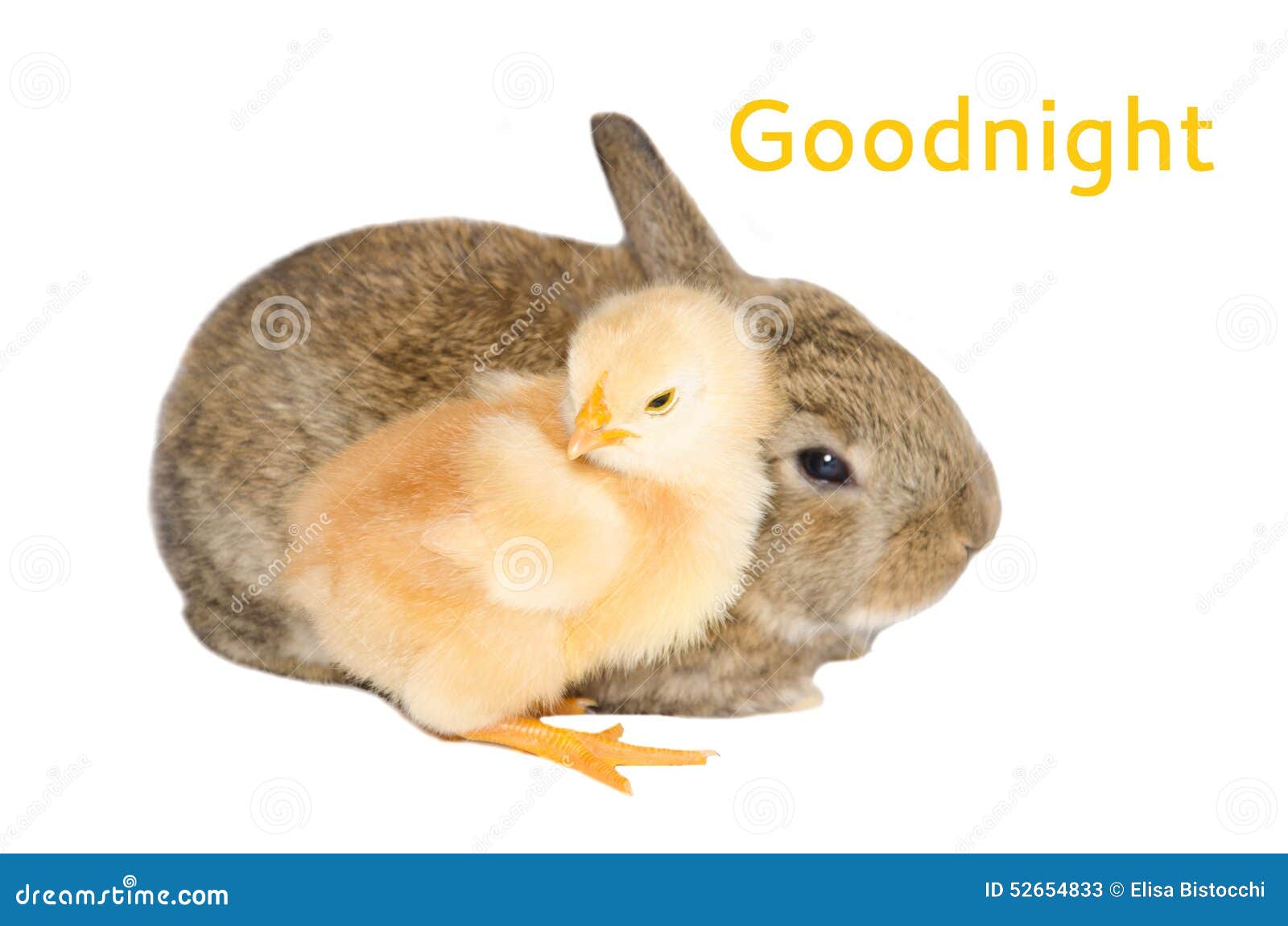 Goodnight card stock image. Image of baby, livestock - 52654833