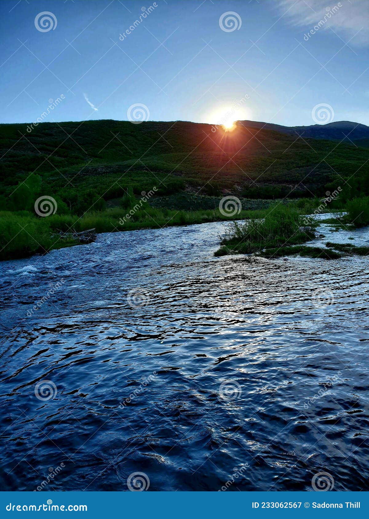 Goodnight world stock image. Image of lake, shore, wetland - 233062567