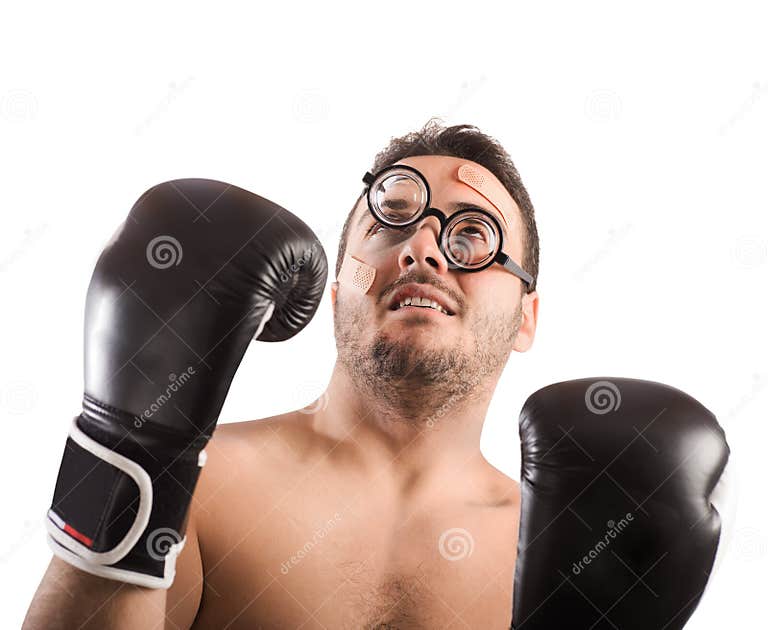 Goofy boxer stock photo. Image of funny, pugilist, fight - 65995780