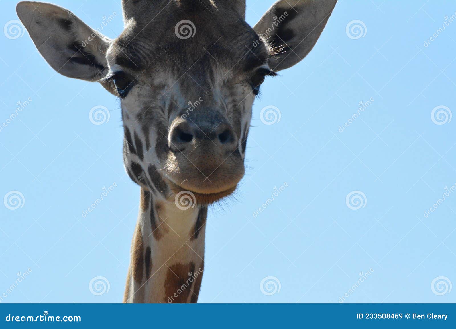 Goofy Looking Maniac Scientist With Dreadful Face Mixing Substances ...