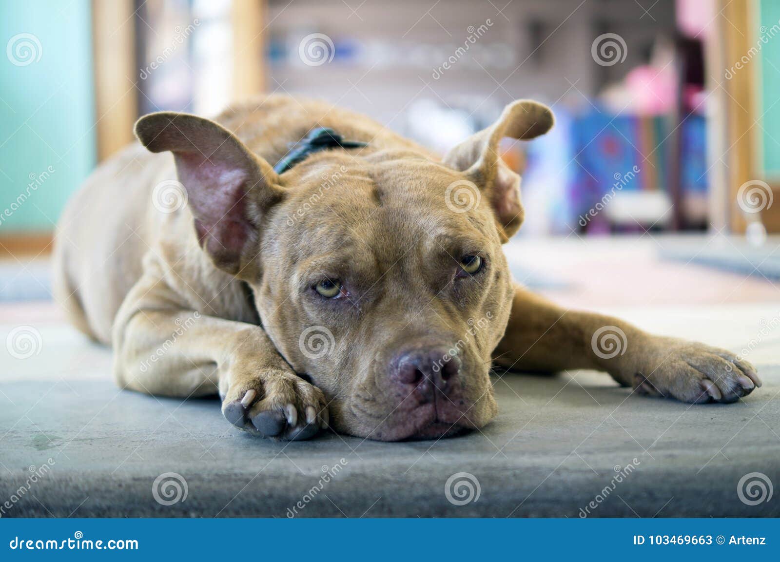 Goofy Looking Maniac Scientist With Dreadful Face Mixing Substances ...