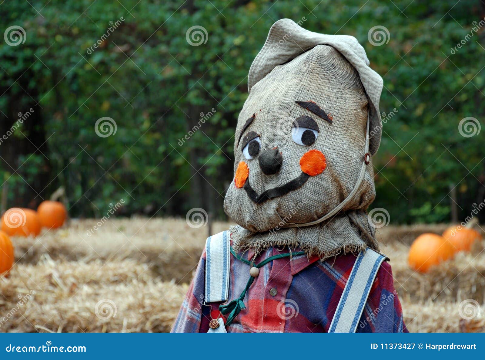 Goofy Scarecrow 1 stock image. Image of burlap, harvest - 11373427
