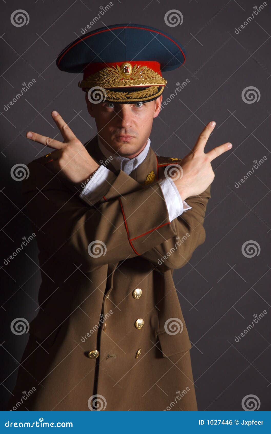 Goofy Soldier stock photo. Image of decorated, humor, general - 1027446