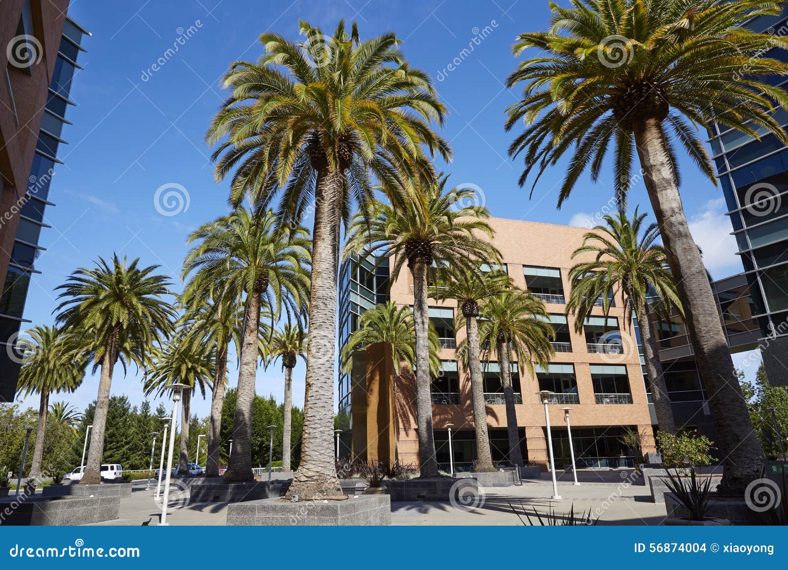 Google Campus, Visitor Area Stock Photo - Image of palm, campus: 56874004