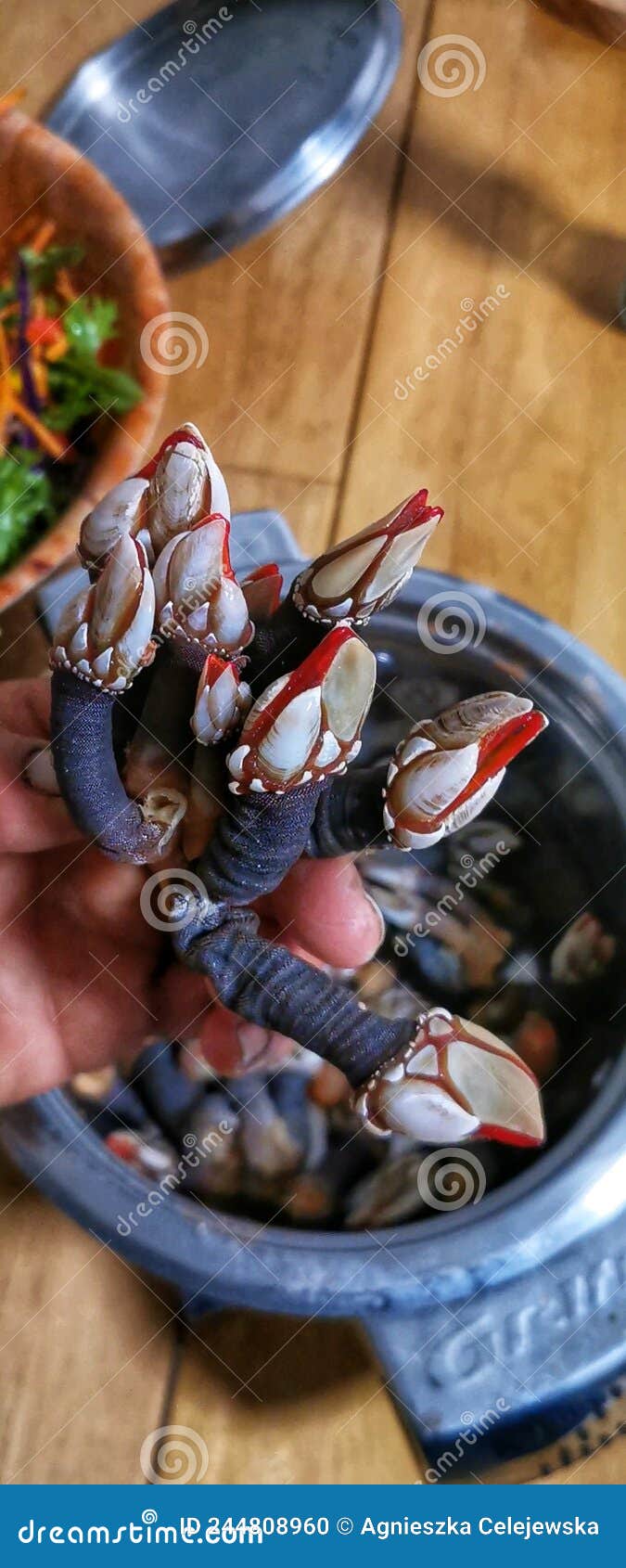 Goose Barnacles, Percebes from Portugal Stock Photo - Image of ...