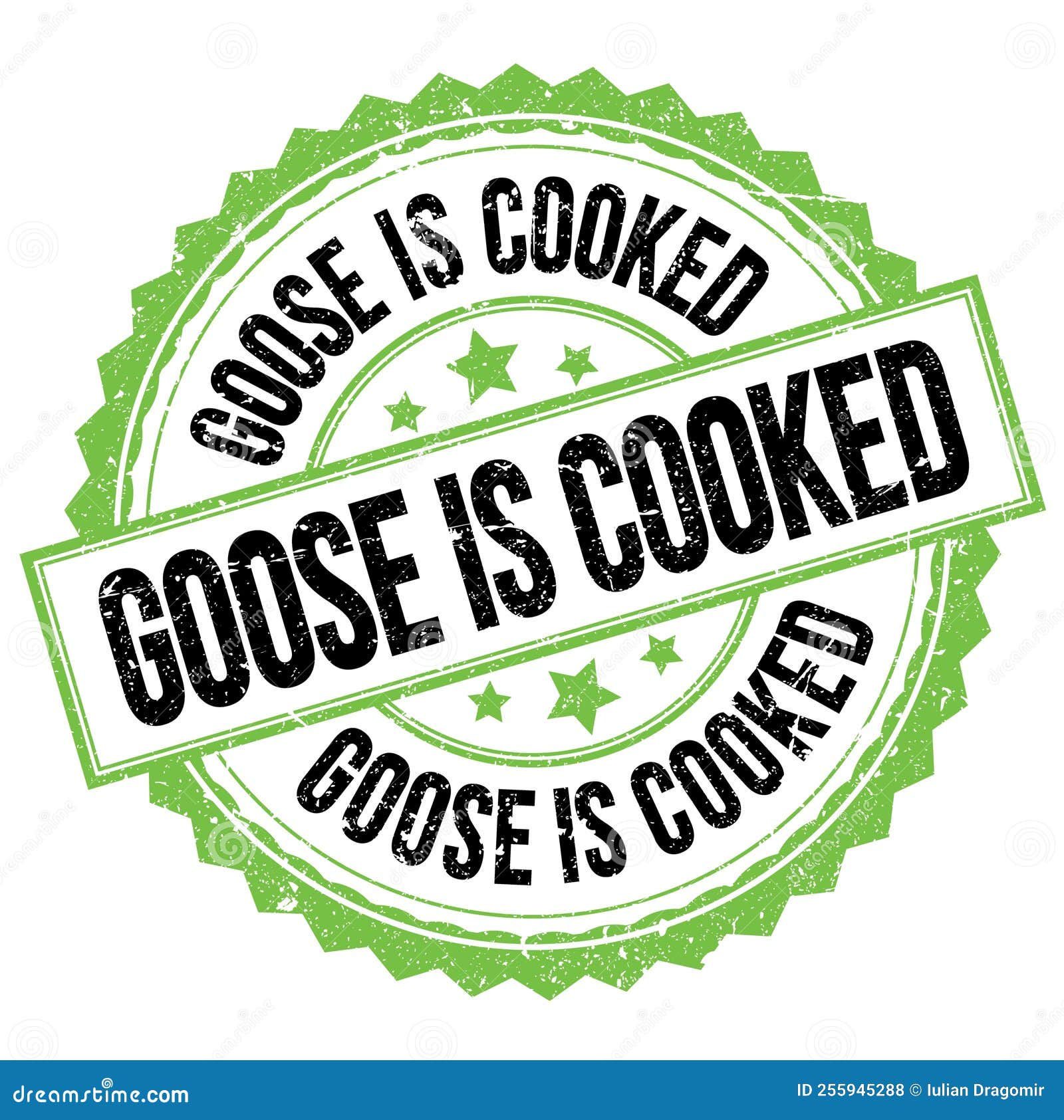GOOSE is COOKED Text on Green-black Round Stamp Sign Stock Illustration ...