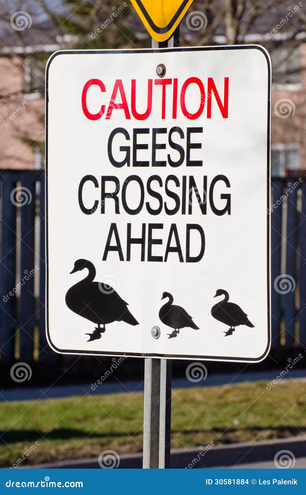 Goose Crossing Sign stock photo. Image of board, attention - 30581884