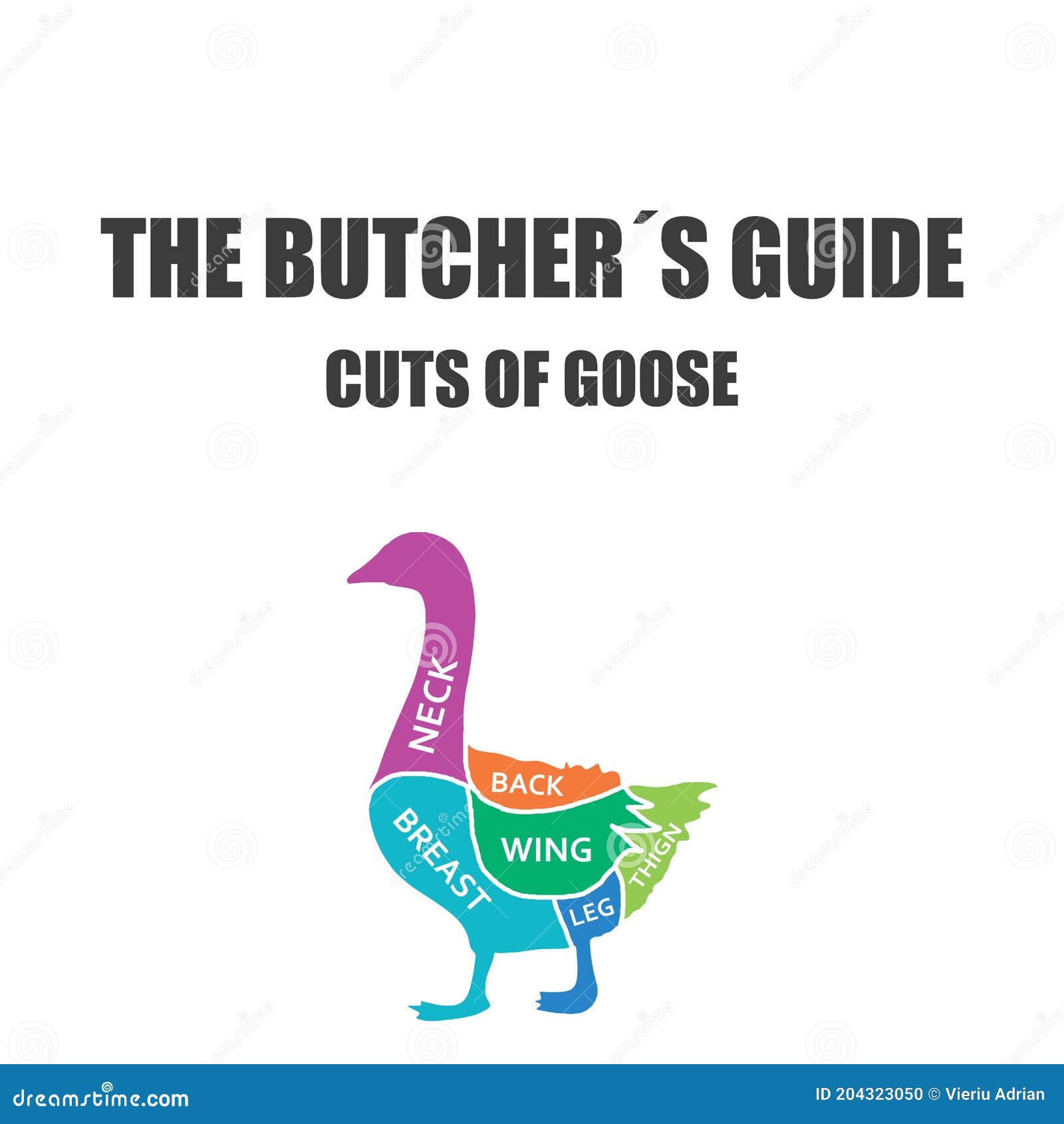 Cut Of Goose, Diagram For Butcher. Poster For Butcher Shop. Guide For ...