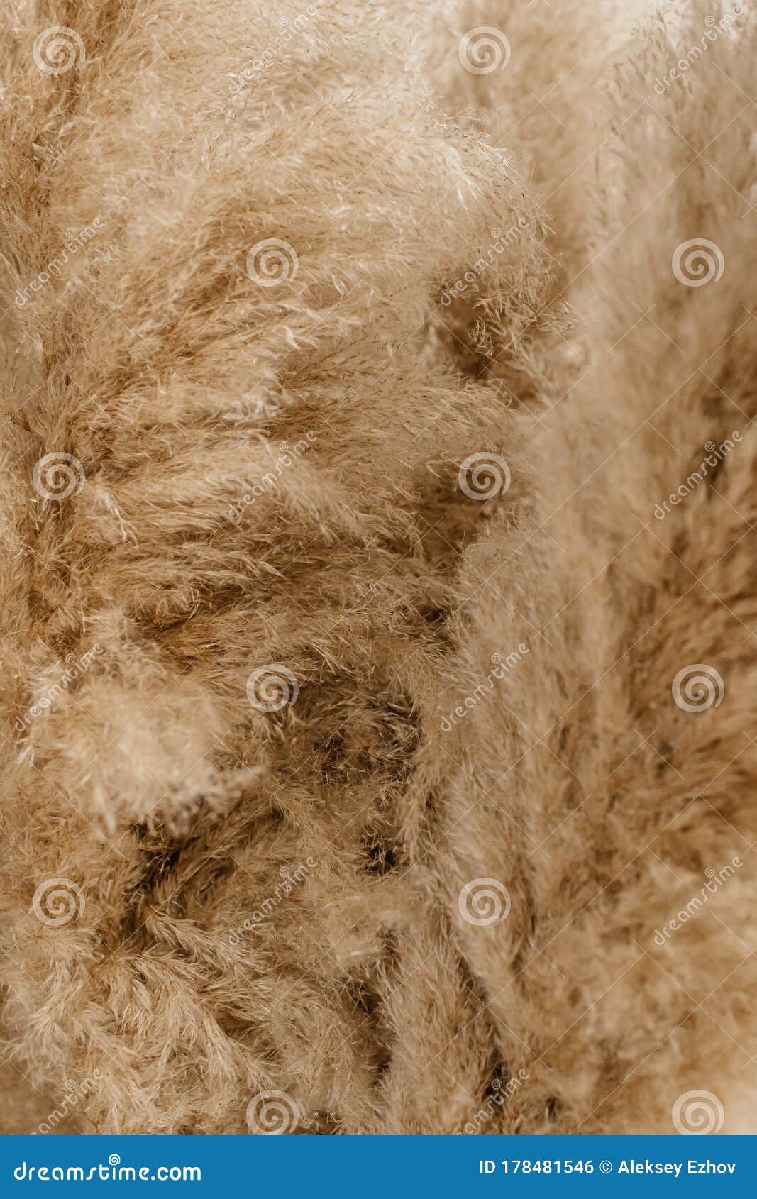 Goose Down Texture Close Up Stock Photo - Image of natural, wallpaper ...