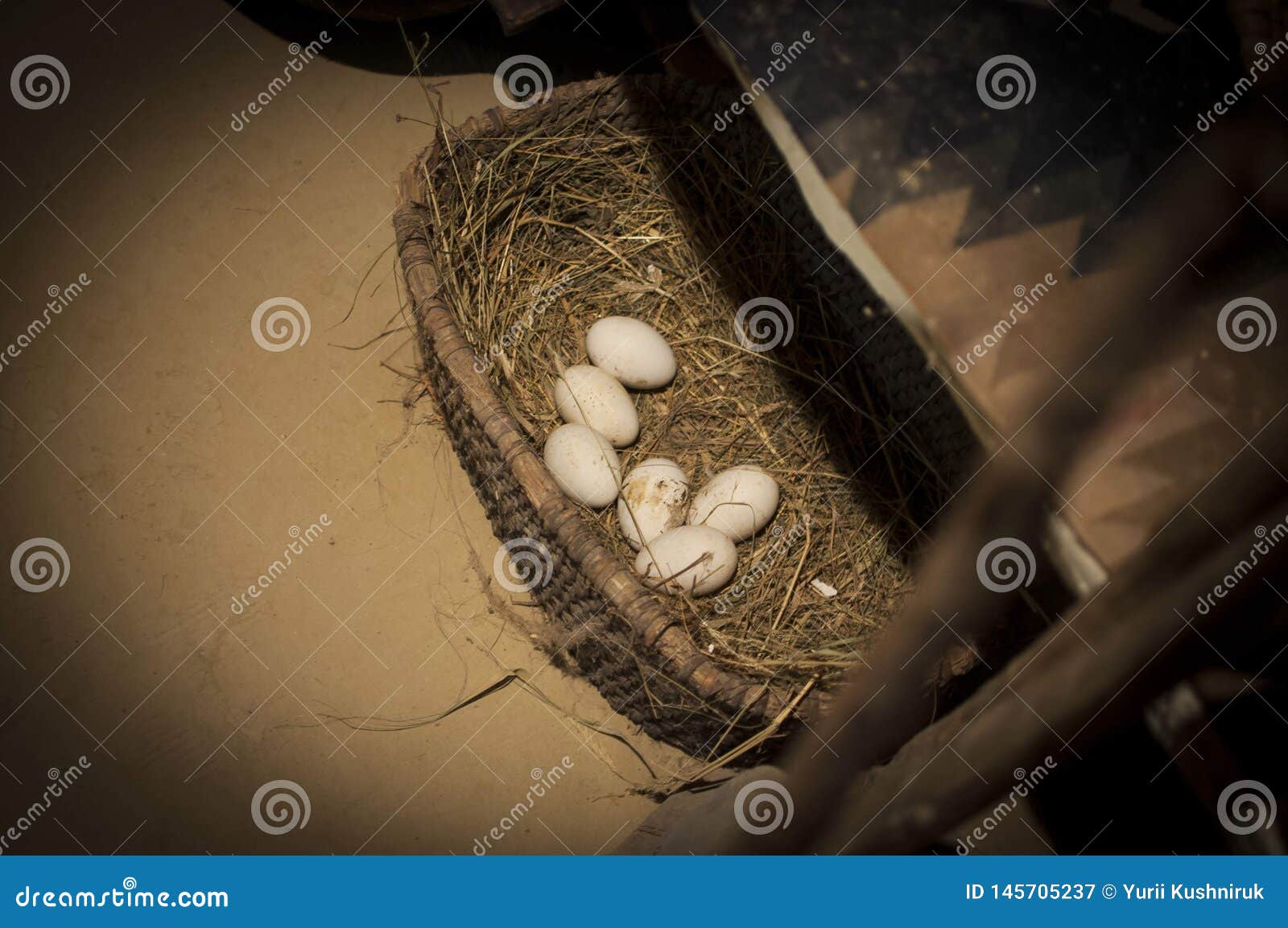 Goose eggs in straw trough stock image. Image of brown - 145705237