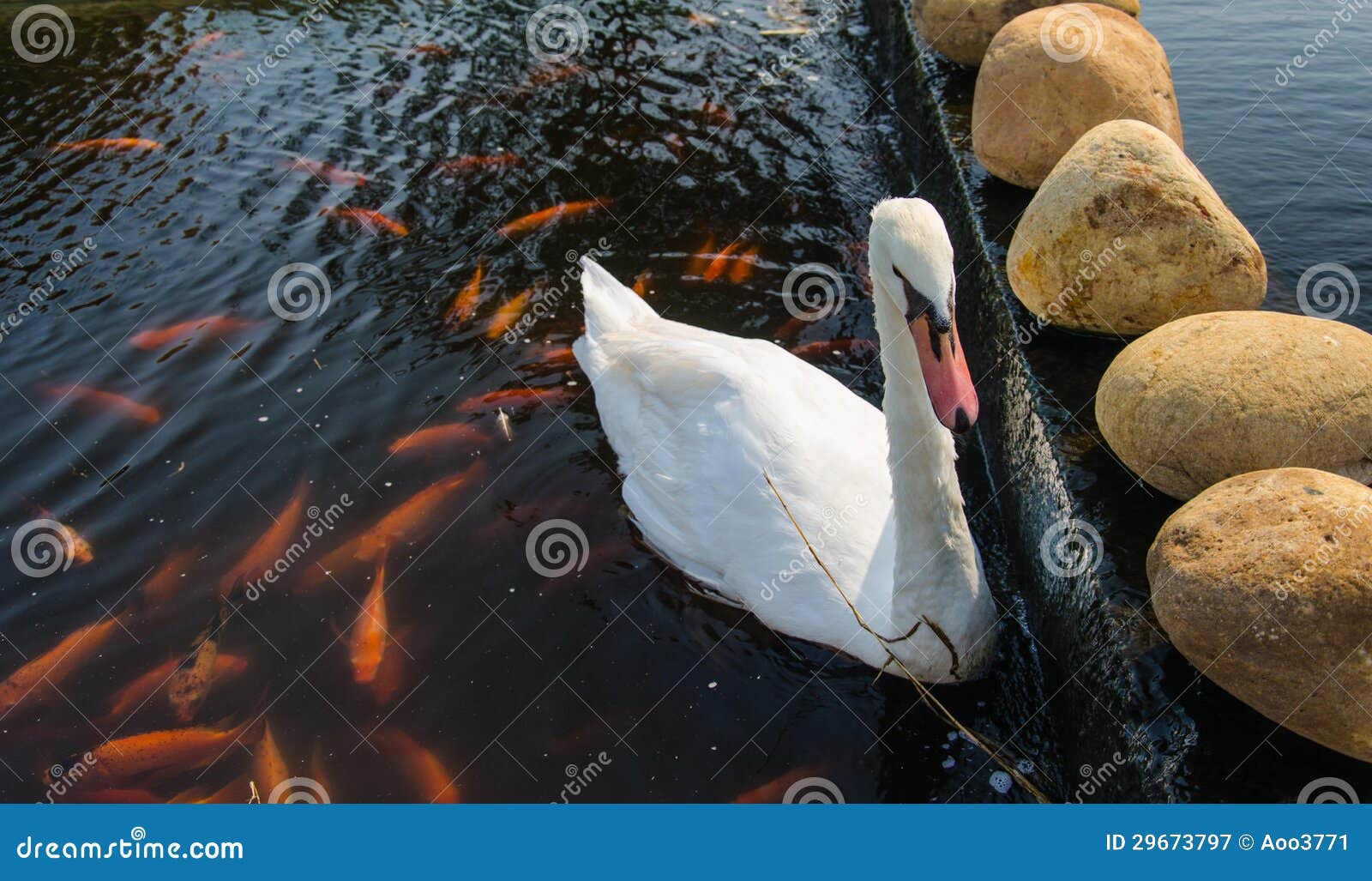Goose and fish. stock image. Image of brown, colorful - 29673797
