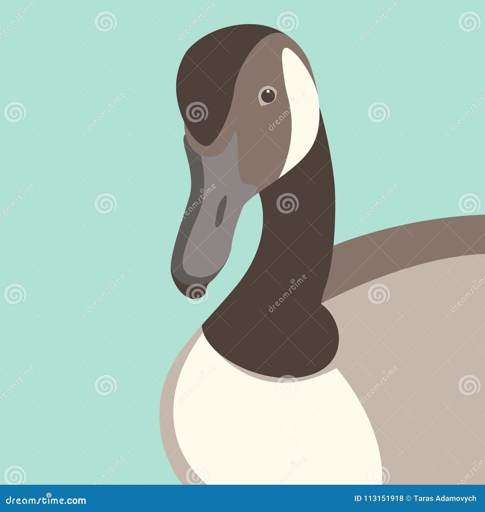 Goose Head Vector Illustration Flat Style Front Stock Vector ...