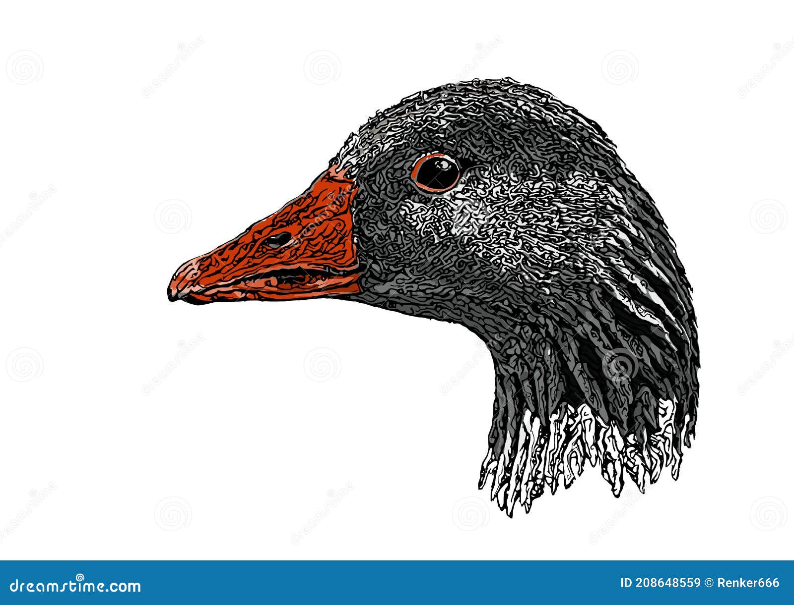 Goose Head Cartoon Vector Illustration Isolated On White. Flat Style ...