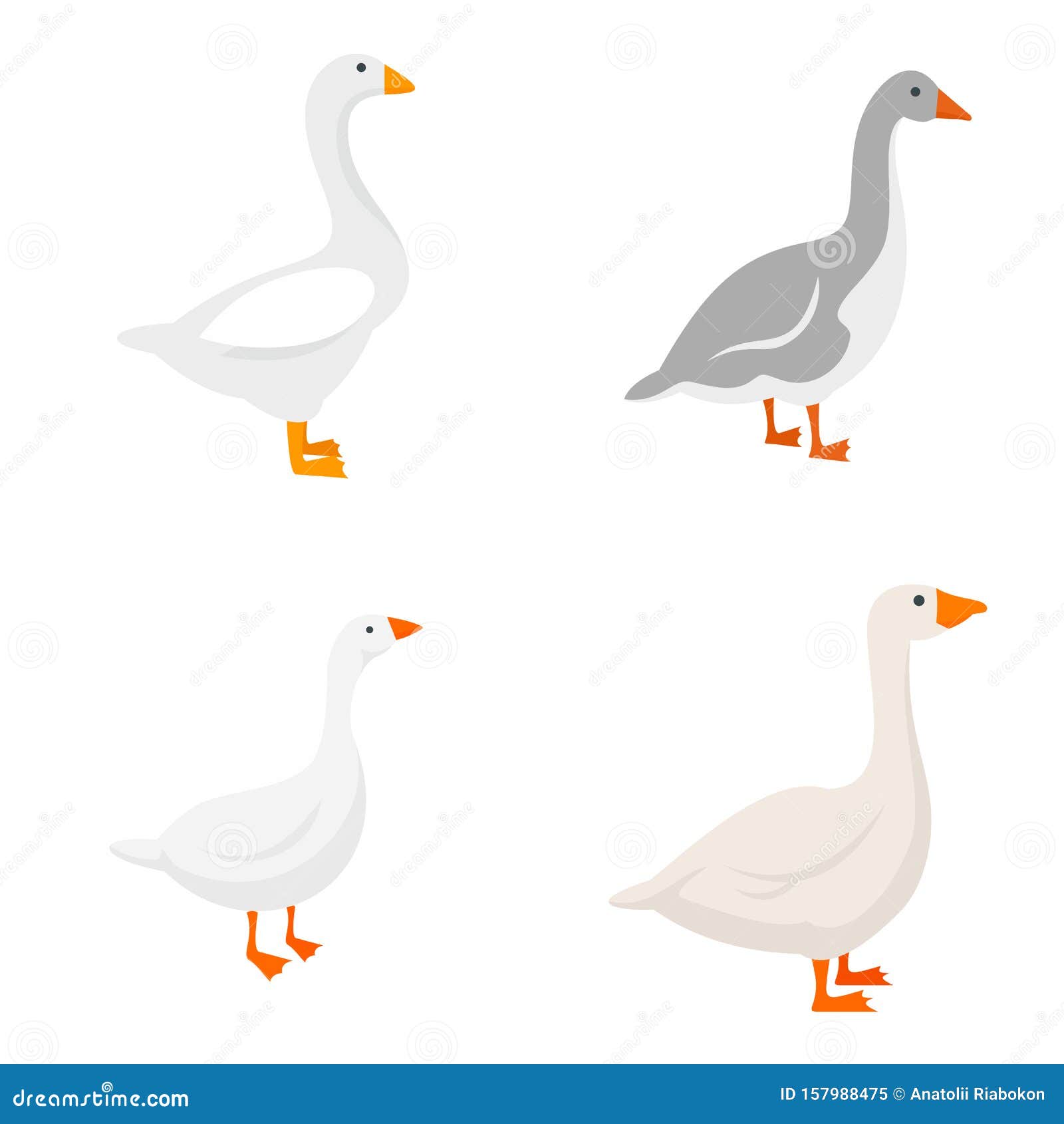 Goose Icons Set, Flat Style Stock Vector - Illustration of eagle, icons ...