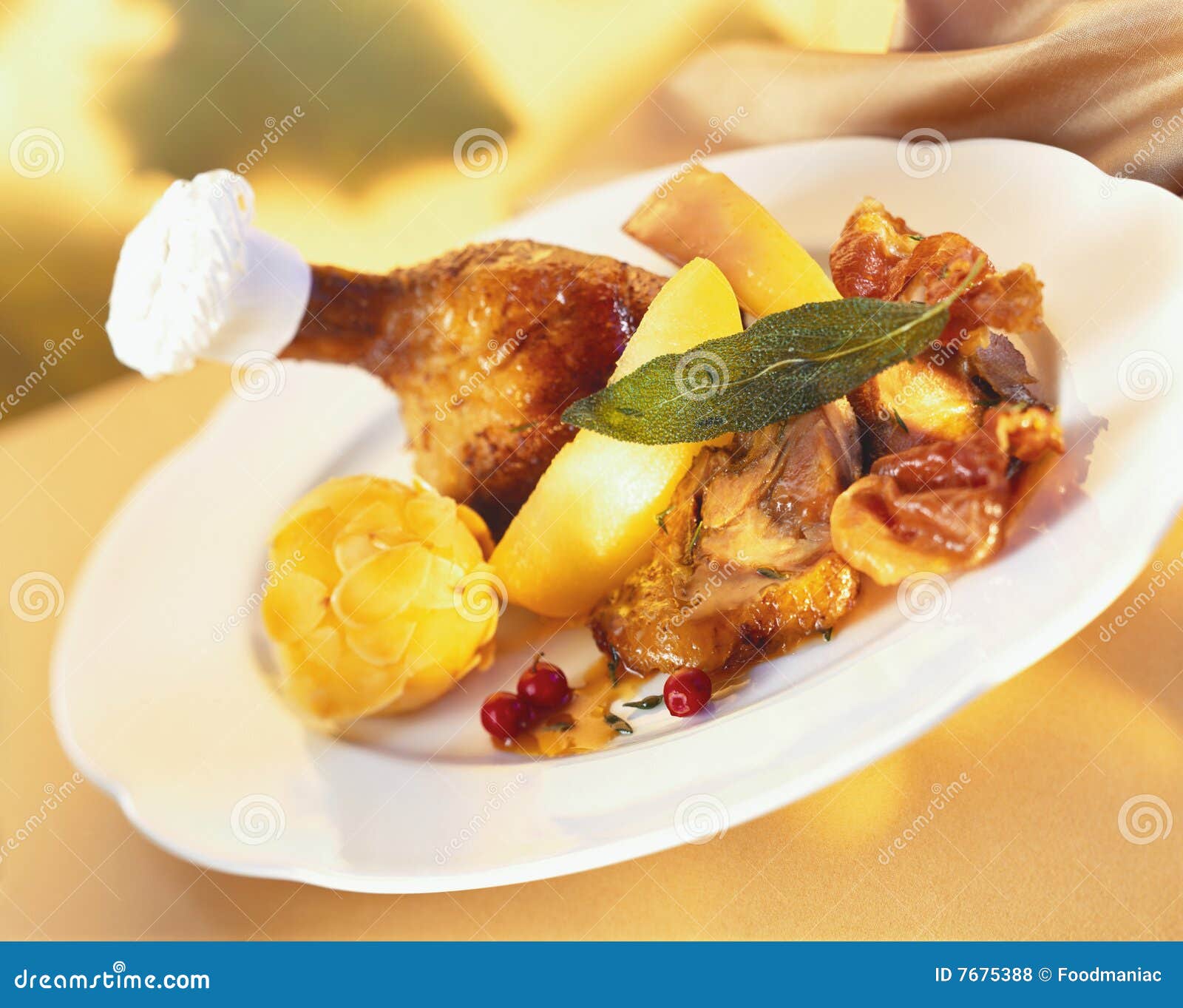 Goose leg stock photo. Image of soft, recipe, food, roasted - 7675388