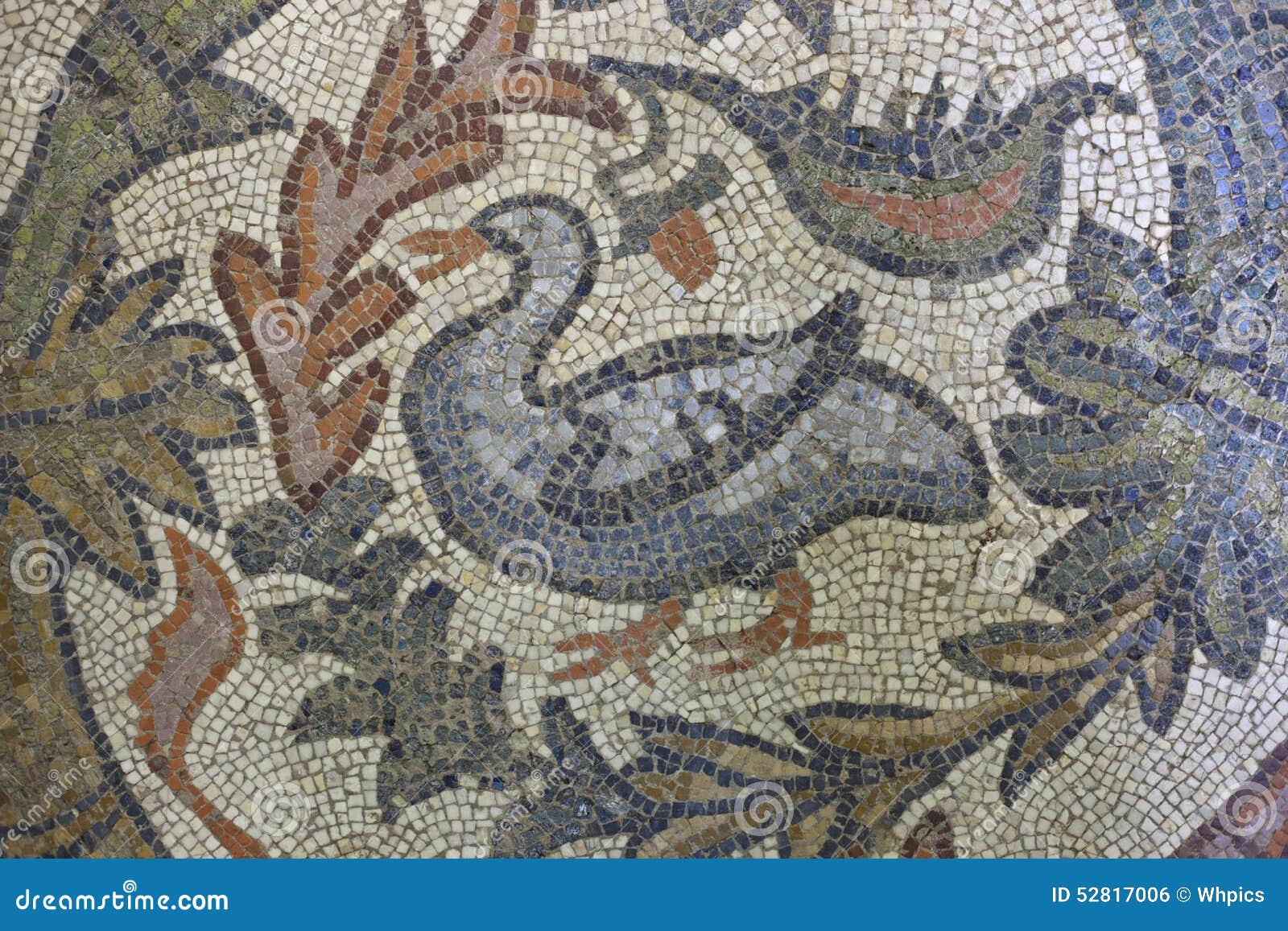Goose mosaic stock photo. Image of history, floor, badajoz - 52817006